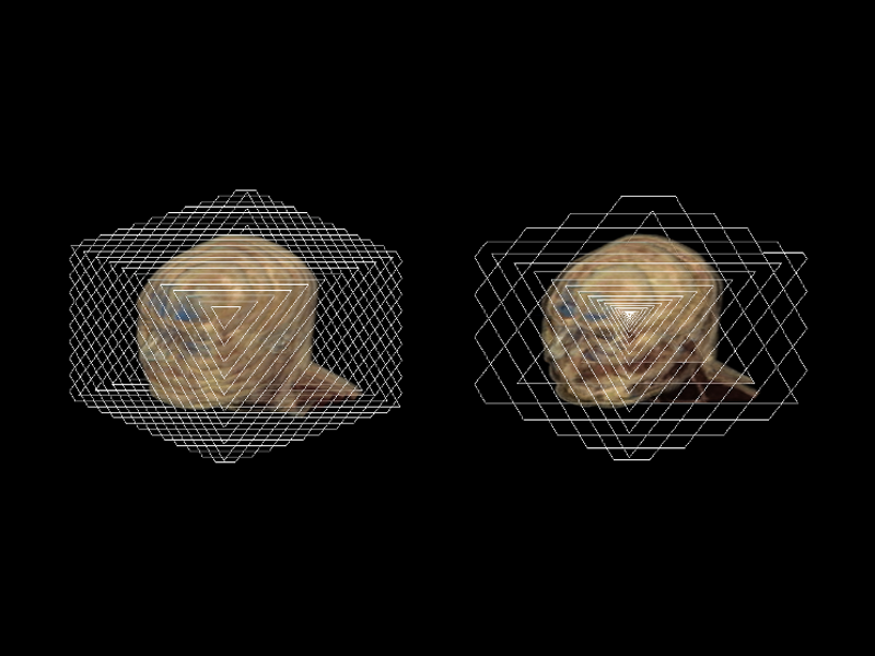 3D Volume Rendering Engine – Super Izzo